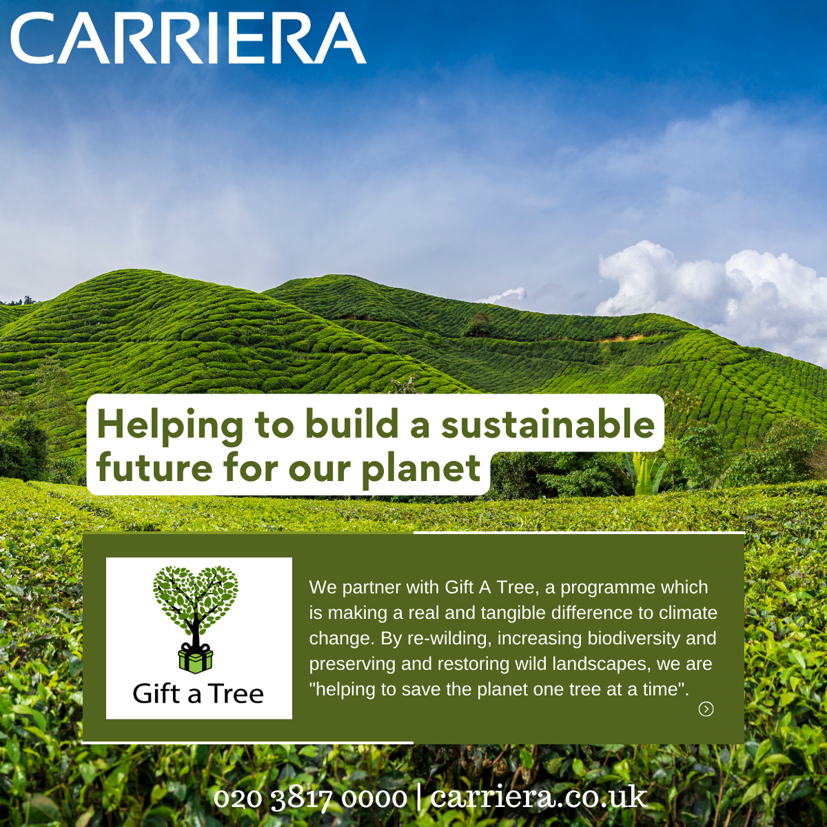 Our environmental pledge for 2024 | Insights | Carriera